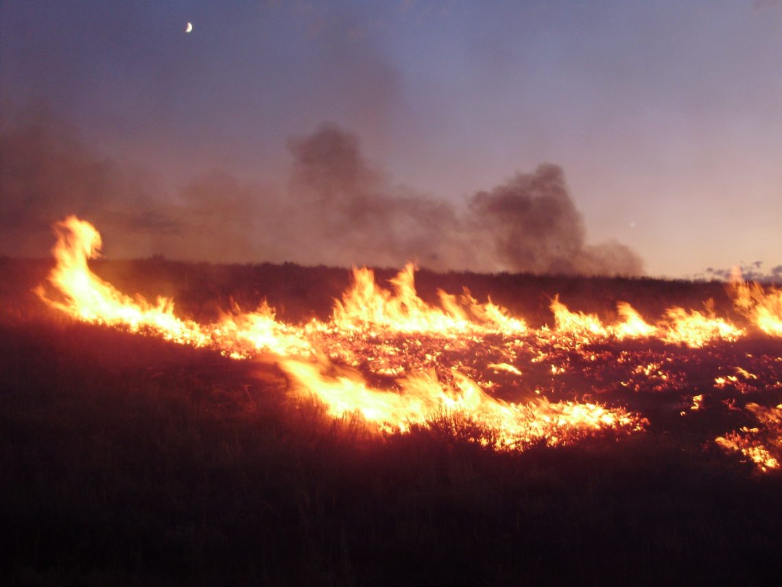 Even in Nevada, natural disasters deserve our attention | The Nevada ...