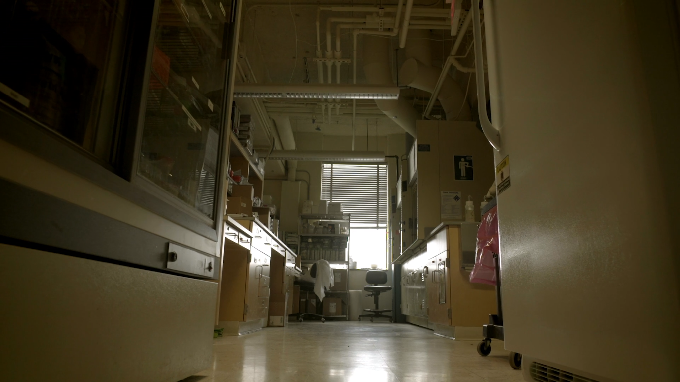 The film “Picture a Scientist” reveals the heartbreaking truth women ...